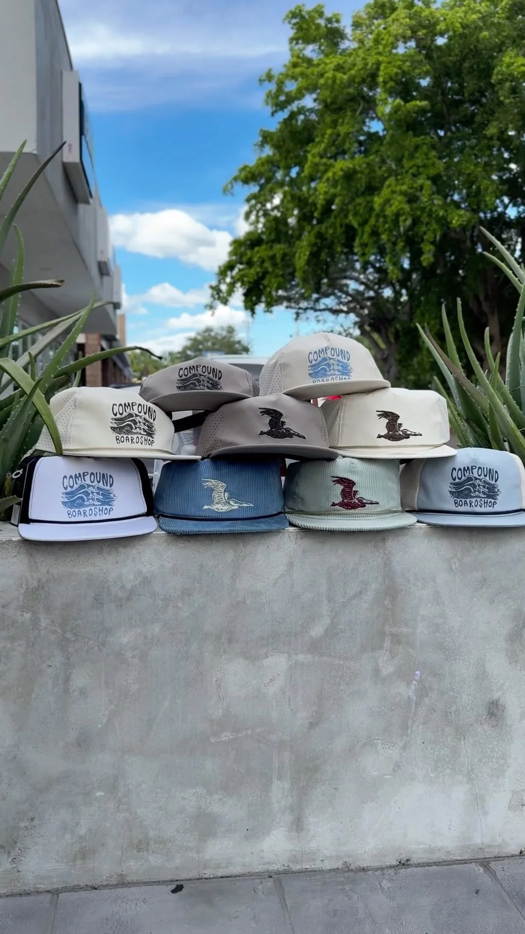 Compound Boardshop - Est. 2003