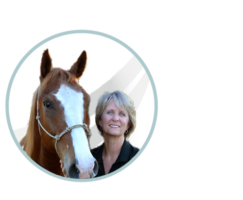 About — Project Healing Heroes