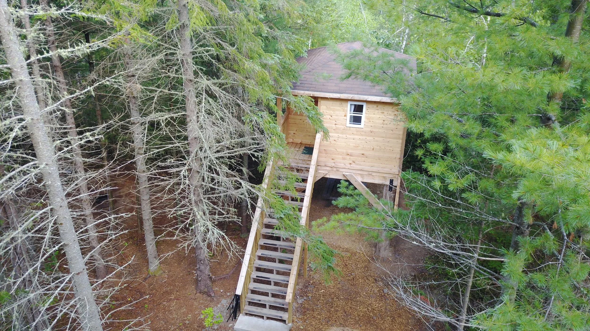 Miramichi Treehouse & Camping Adventures— Treehouses -a great place to stay