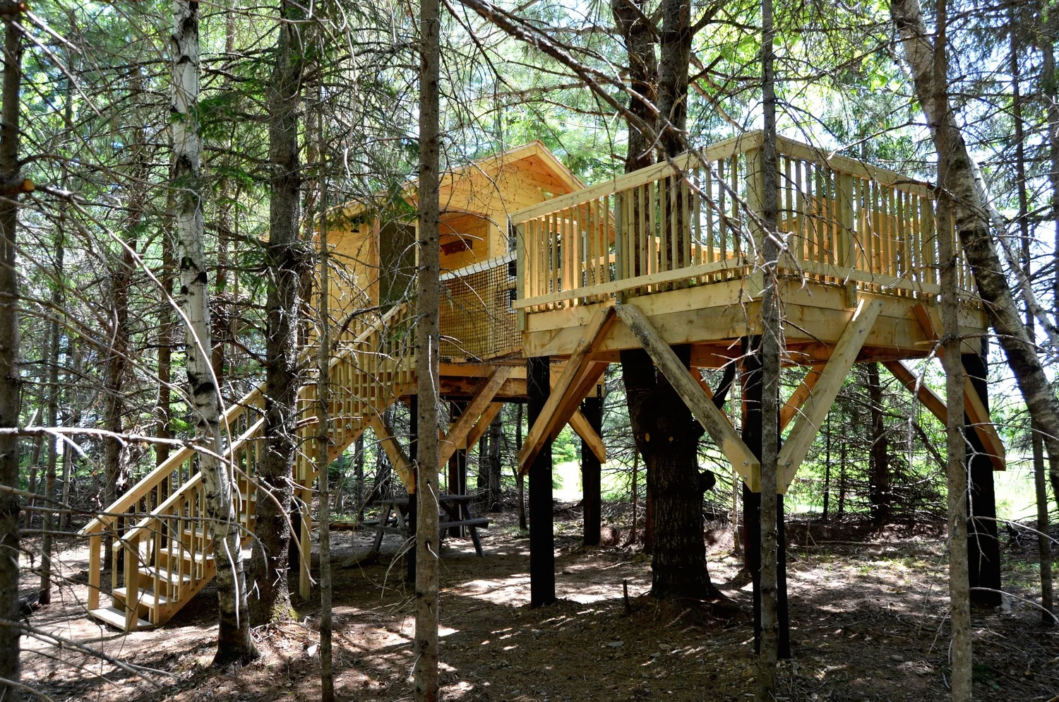 Miramichi Treehouse & Camping Adventures