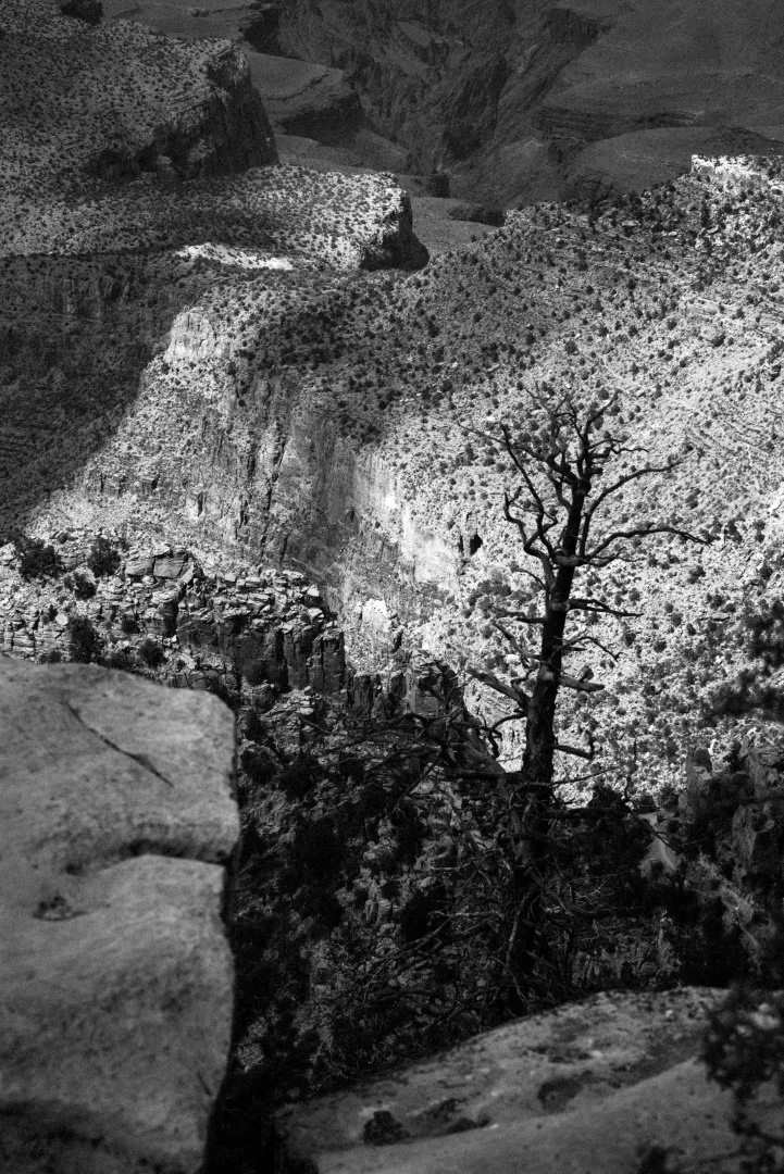 Local Artist Showcase — Steel Cup Café