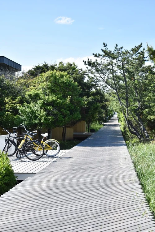 VISITING FIRE ISLAND LIGHTHOUSE , FIRE ISLAND NY — Lightly Traveling