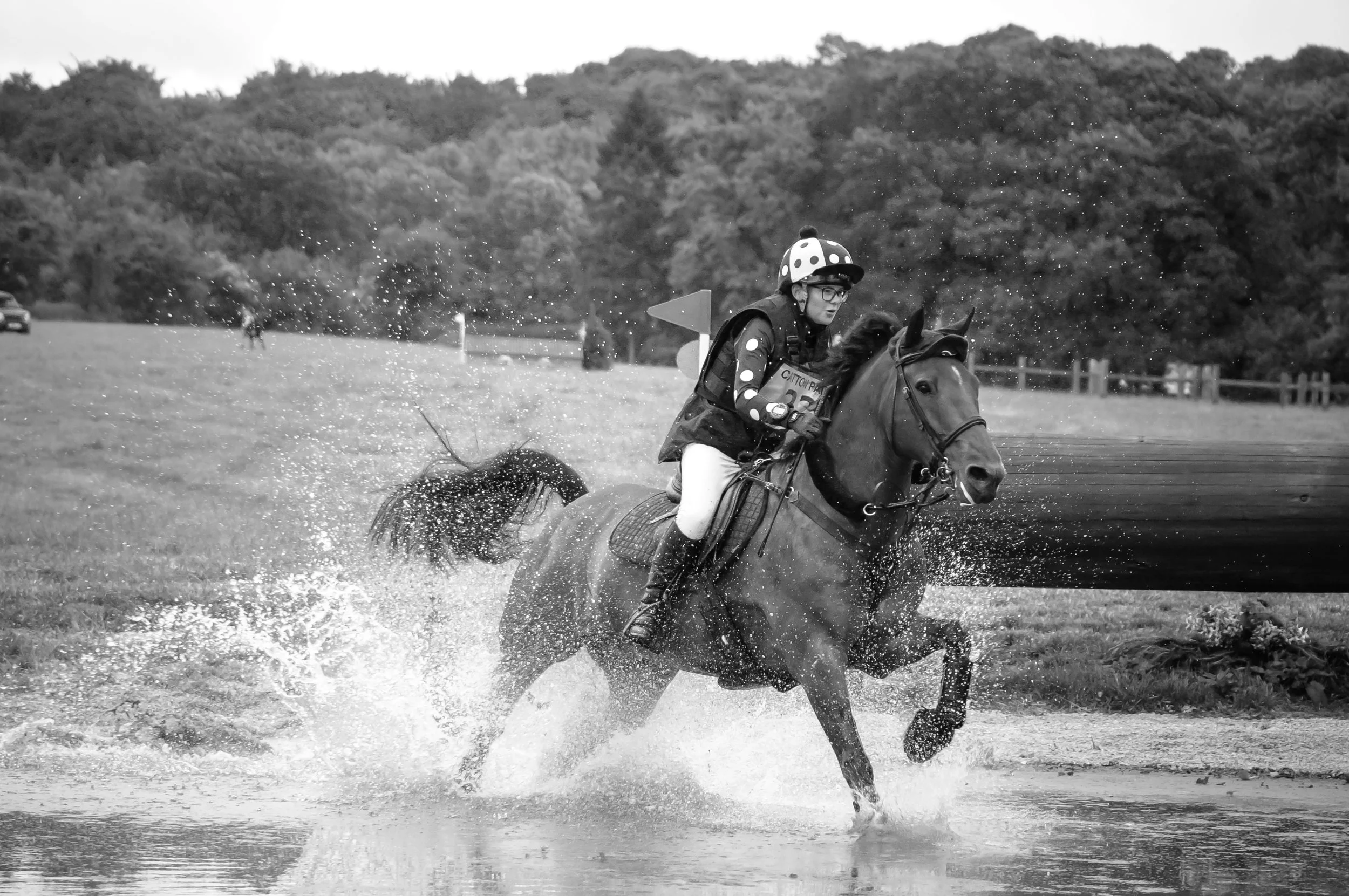 Gallery - Images by Hannah Cole Photography — Hannah Cole Photography