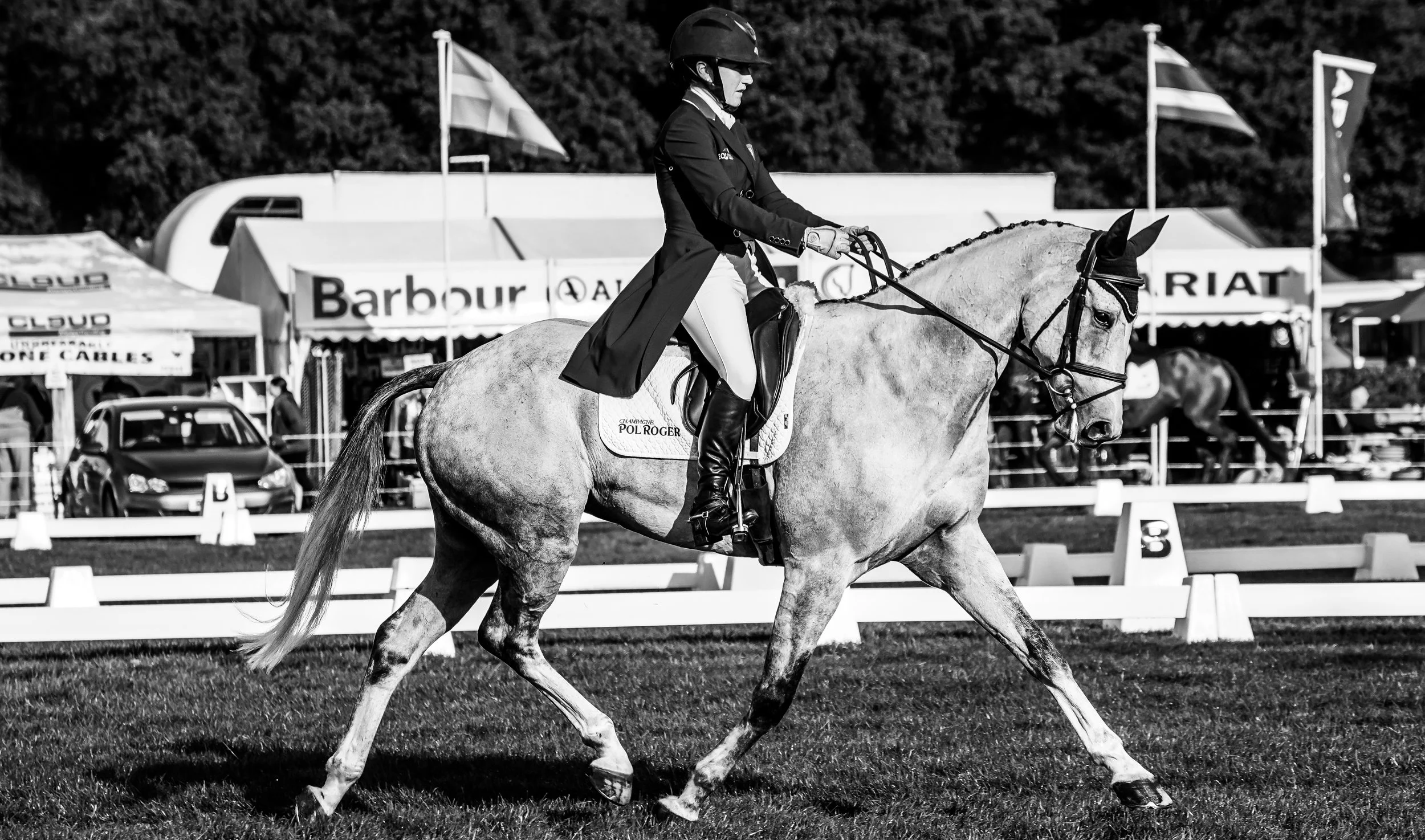 Gallery - Images by Hannah Cole Photography — Hannah Cole Photography