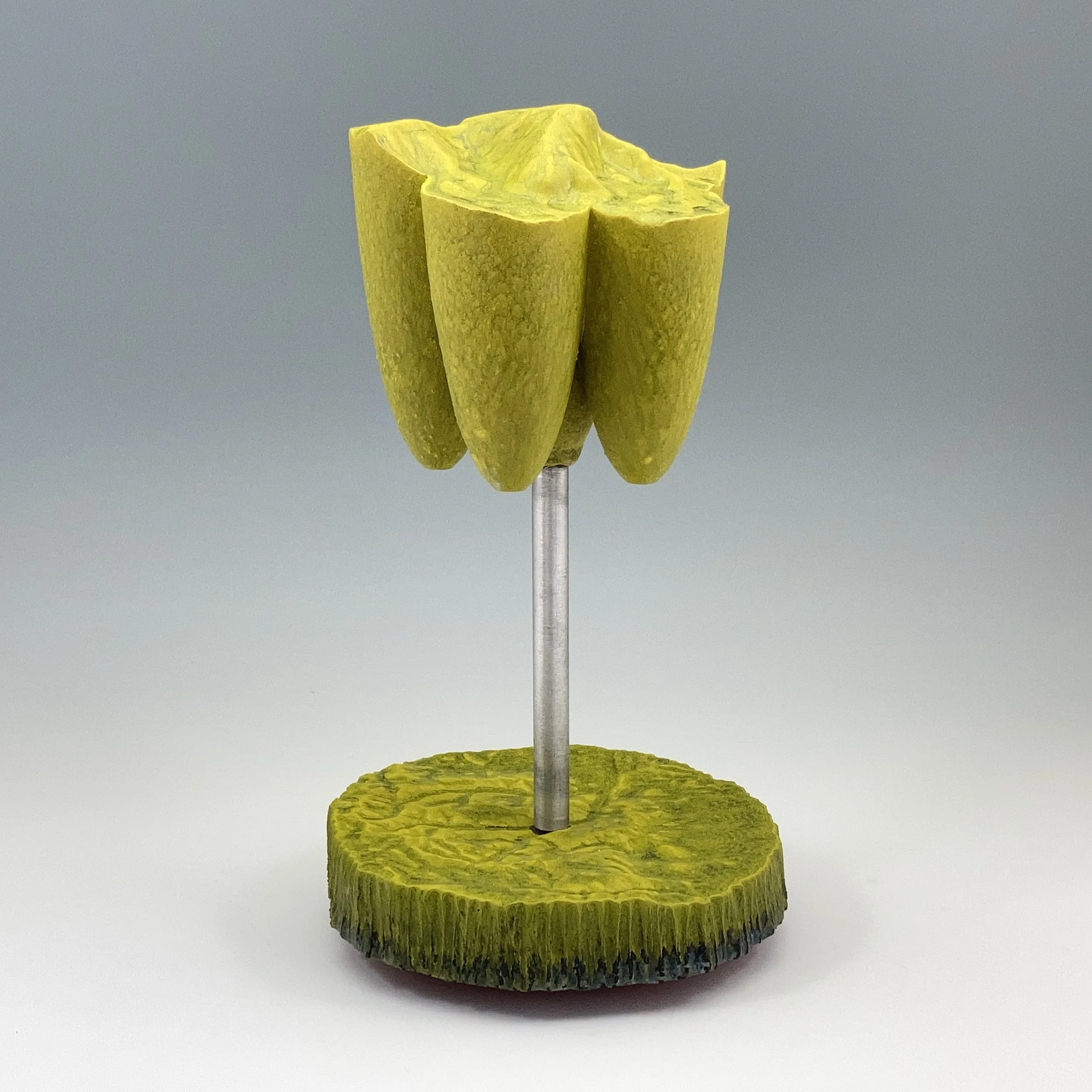 Floating Beartooth — JOHN UTGAARD