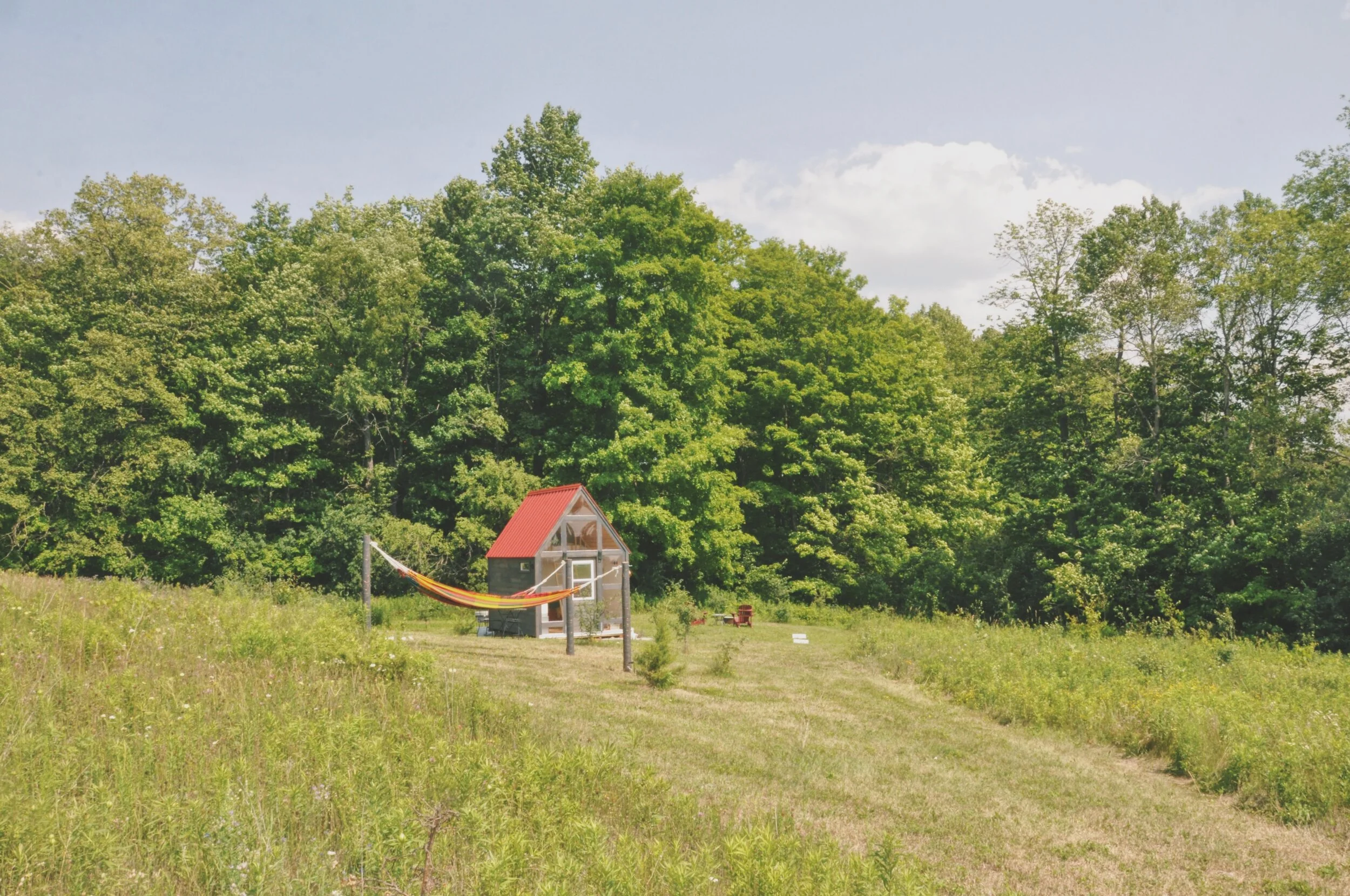 Brae Ridge Alpaca and Horse Farm