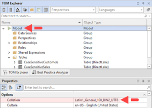 Case-sensitive models in Power BI: consequences & considerations — DATA ...