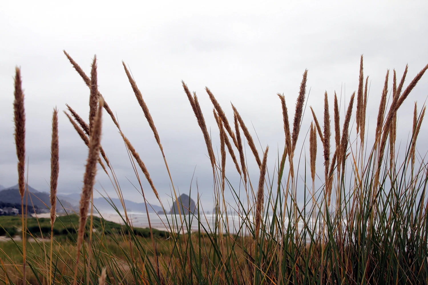 Resources — Terry Bohn MA LPC LMHC