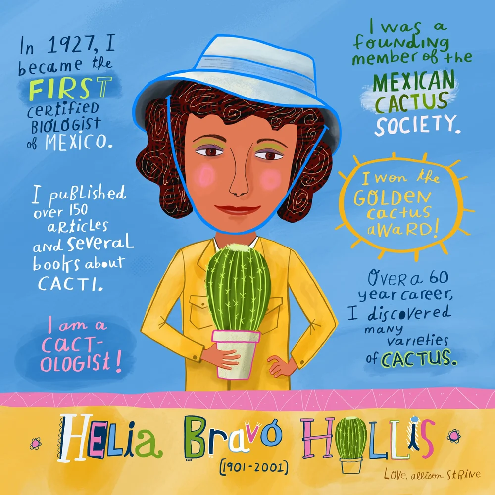 Art & Illustration | Surface Design | Book Illustration | allisonstrine.com