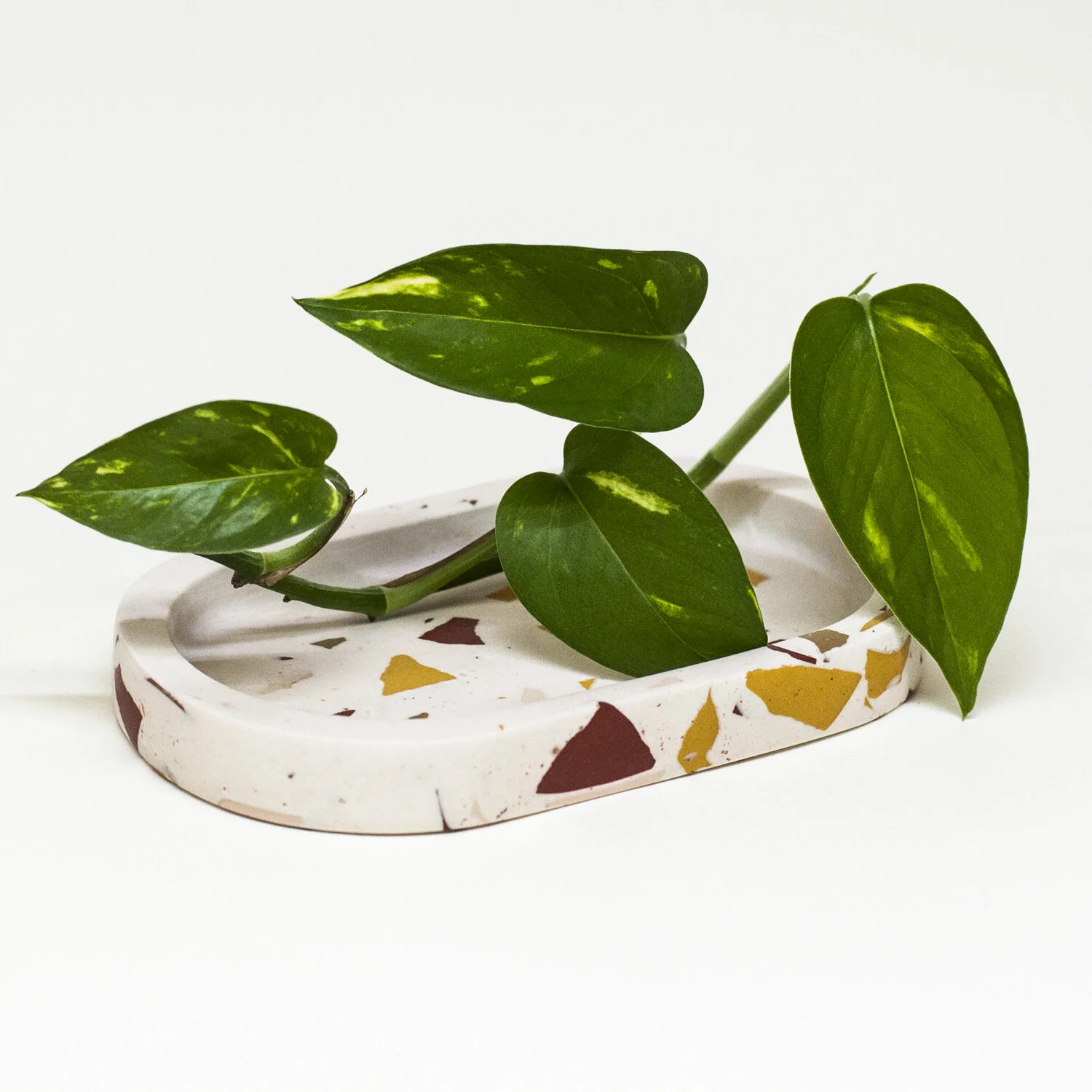 Terrazzo Workshops in Berlin — RtmiS [ár.te.mis] Create Beautiful ...