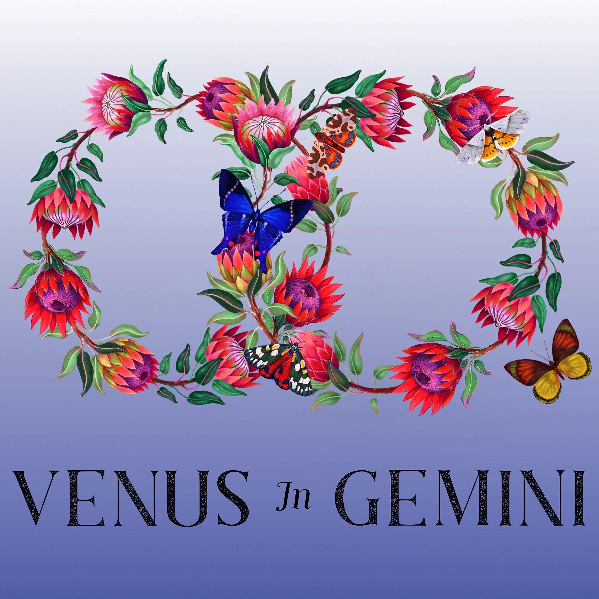 Venus Enters Gemini — Evan Sherlock Astrology