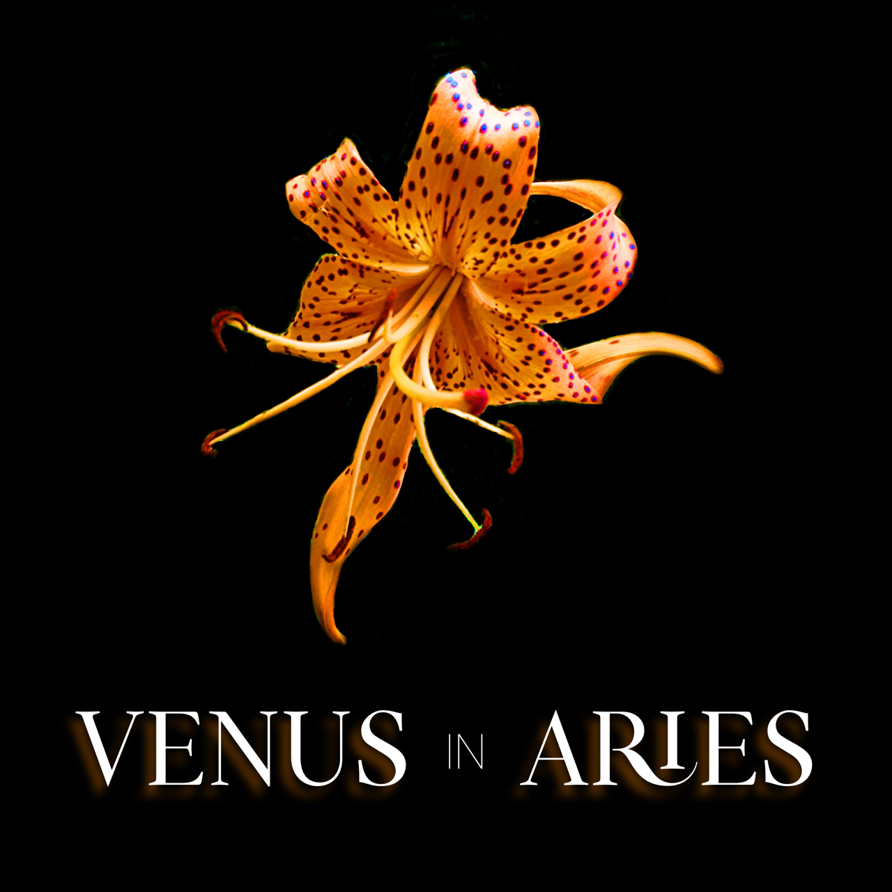 Venus Enters Aries — Evan Sherlock Astrology