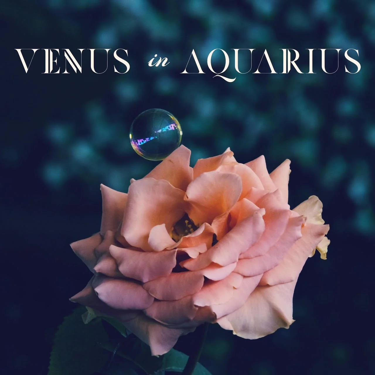 Venus Enters Aquarius — Evan Sherlock Astrology