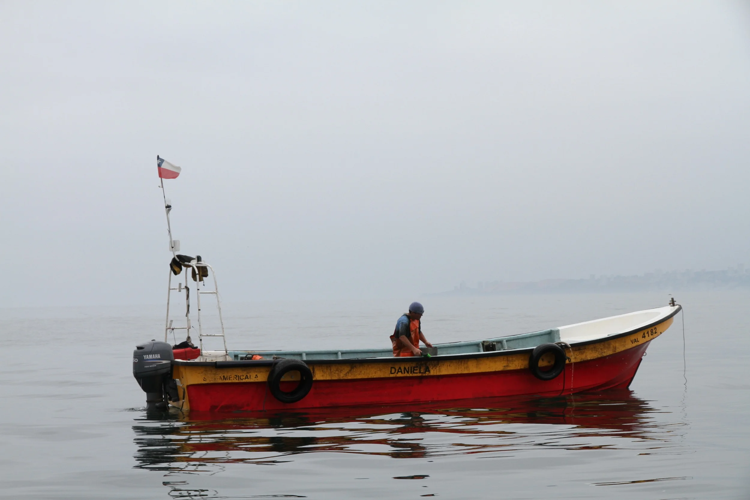 San Telmo's Fire — Mostly Harmless