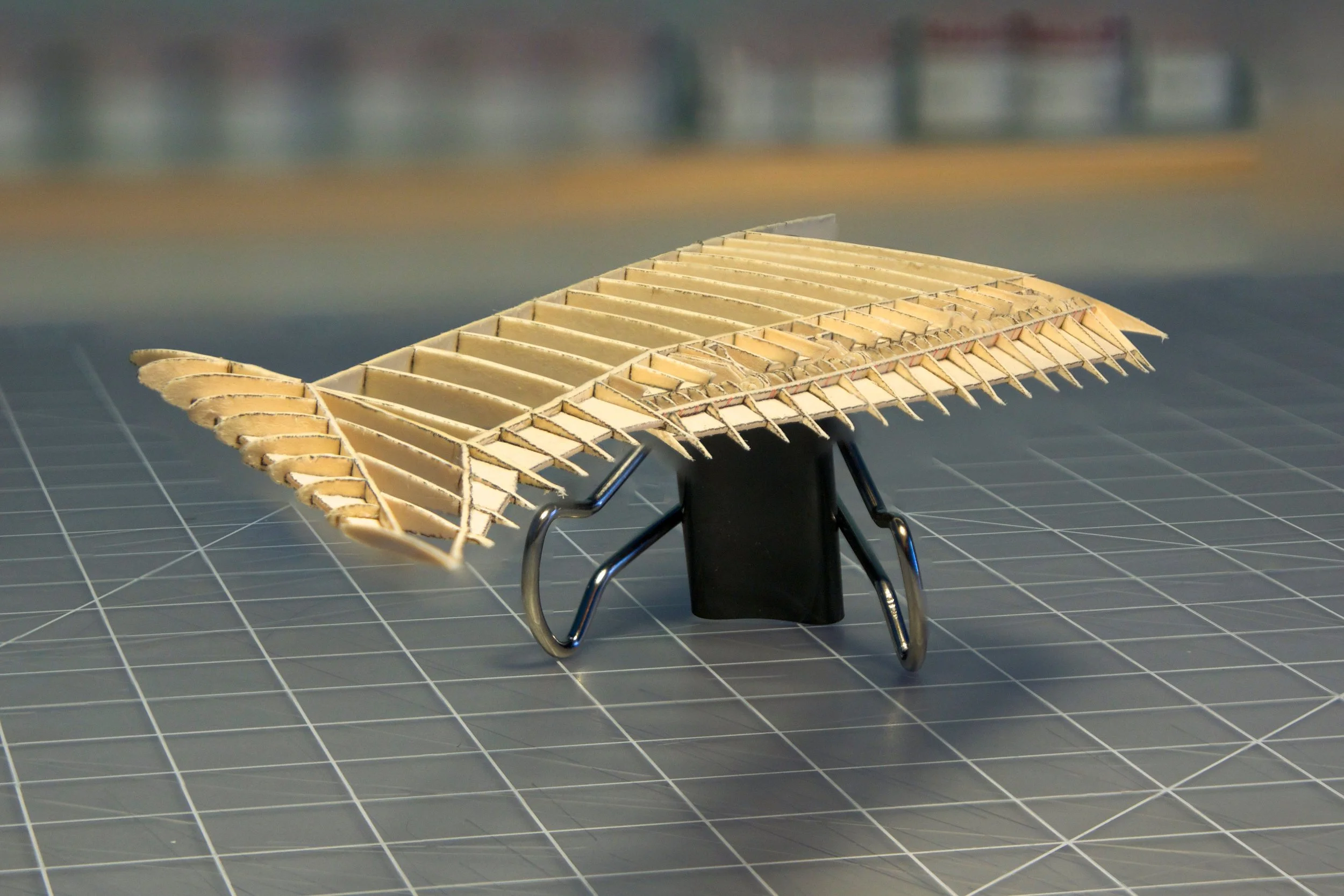 Model 777 - Wings — Luca Iaconi-Stewart