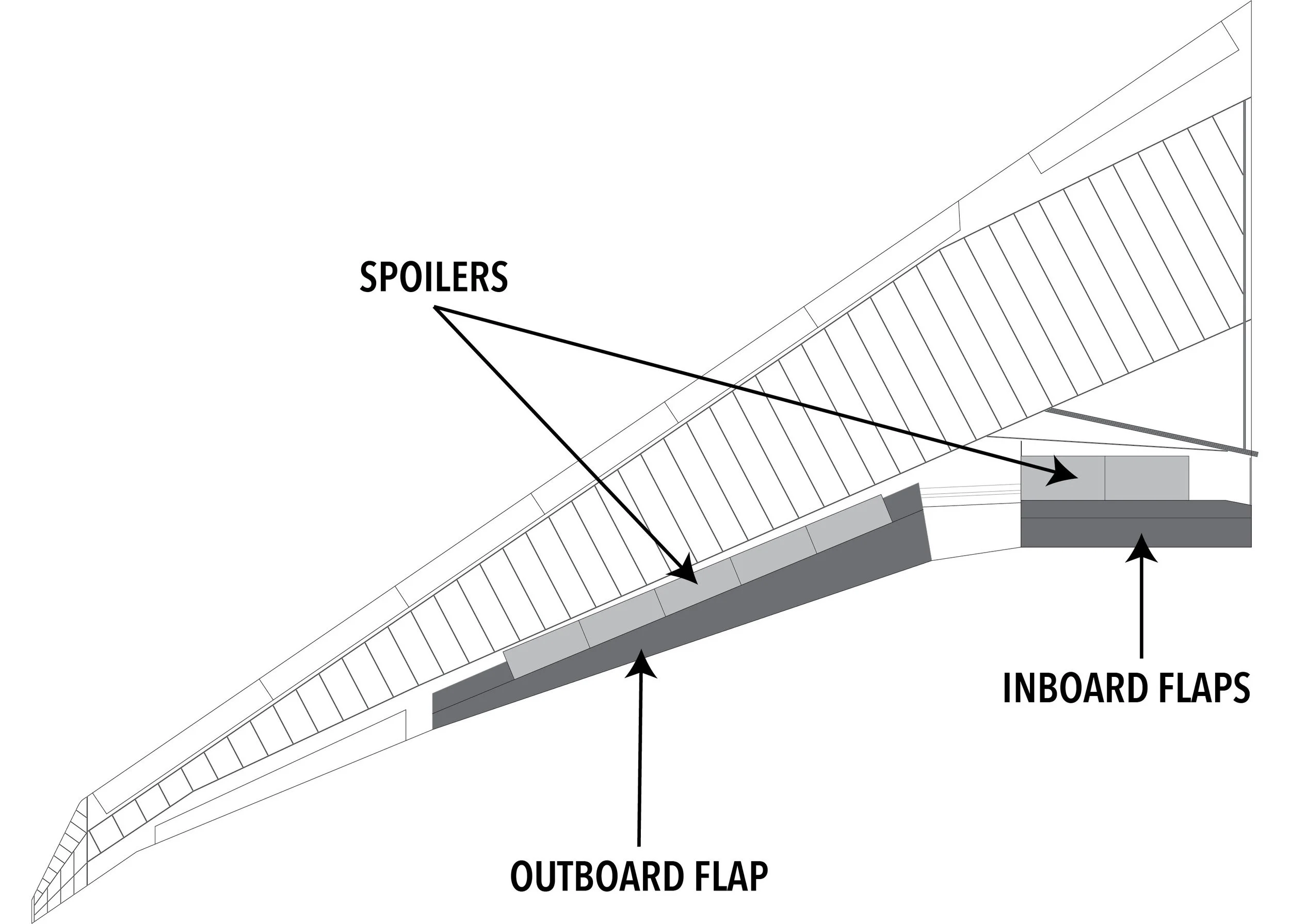 Model 777 - Wings — Luca Iaconi-Stewart