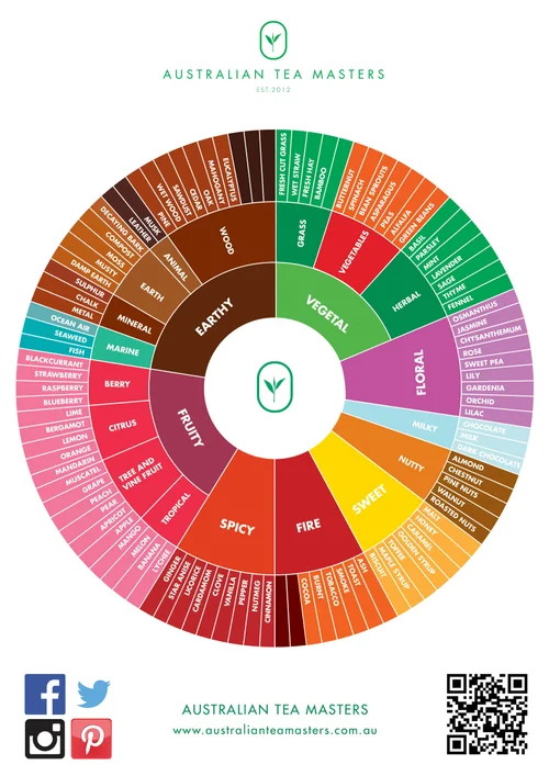 All — The Ultimate Tea & Food Pairing Guide