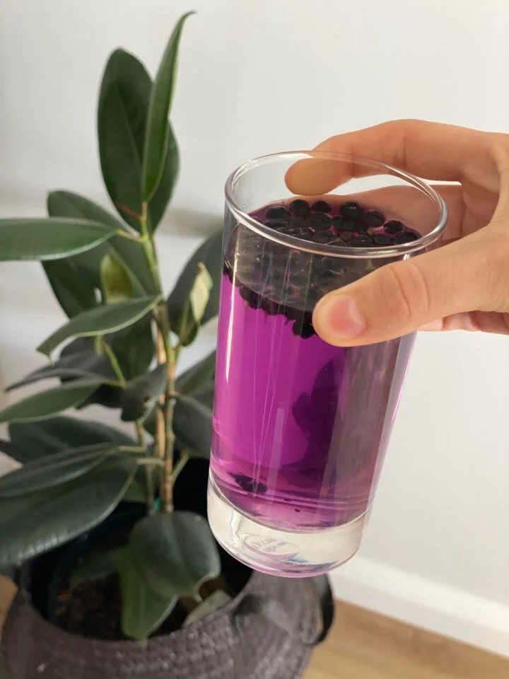 All — What is Black Wolfberry?