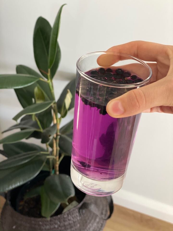 All — What is Black Wolfberry?