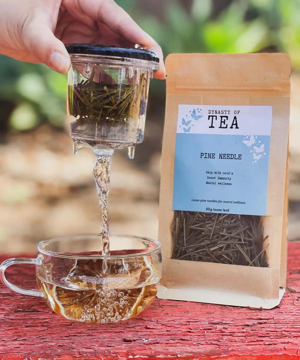 All — What is Pine Needle Tea? And What is it Good For?