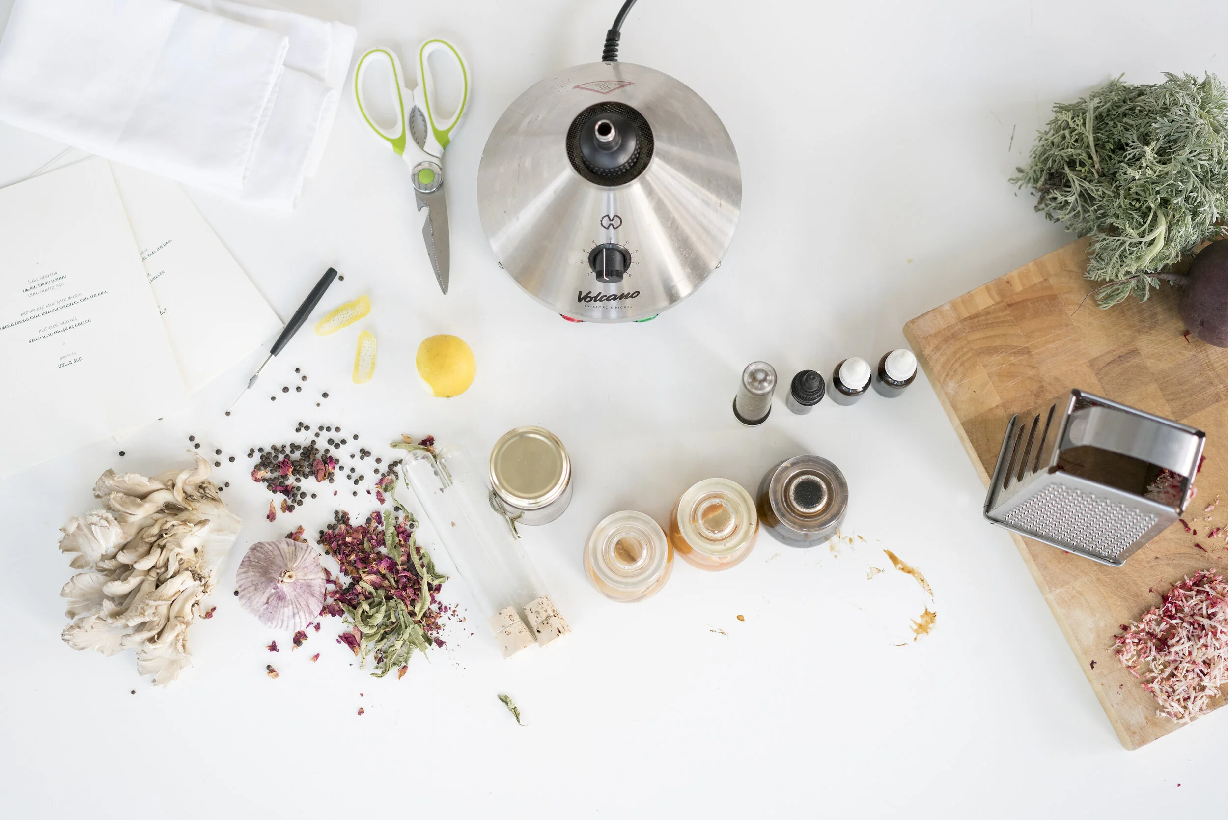 artist Shahar Afek — Fireflies Project