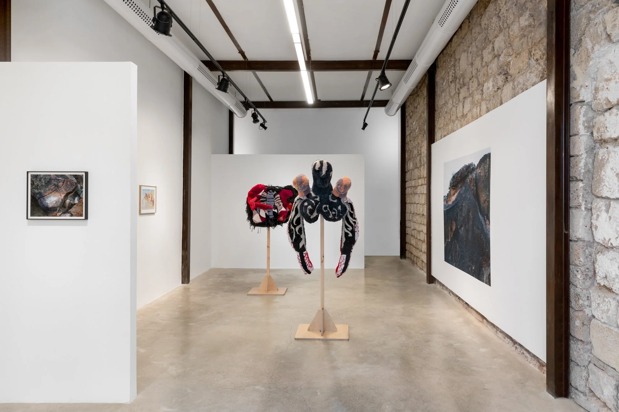 Anna Perach and Gaston Zvi Ickowicz — Fireflies Project