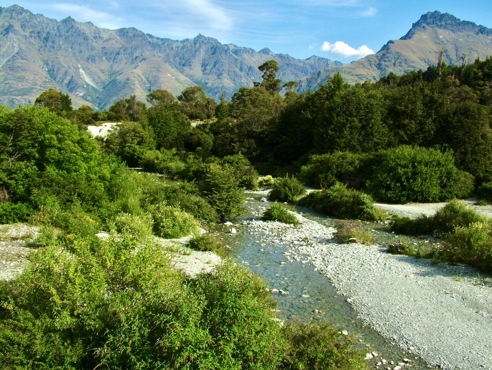 A Lord of the Rings Guide to the Te Araroa — Let's Trek It