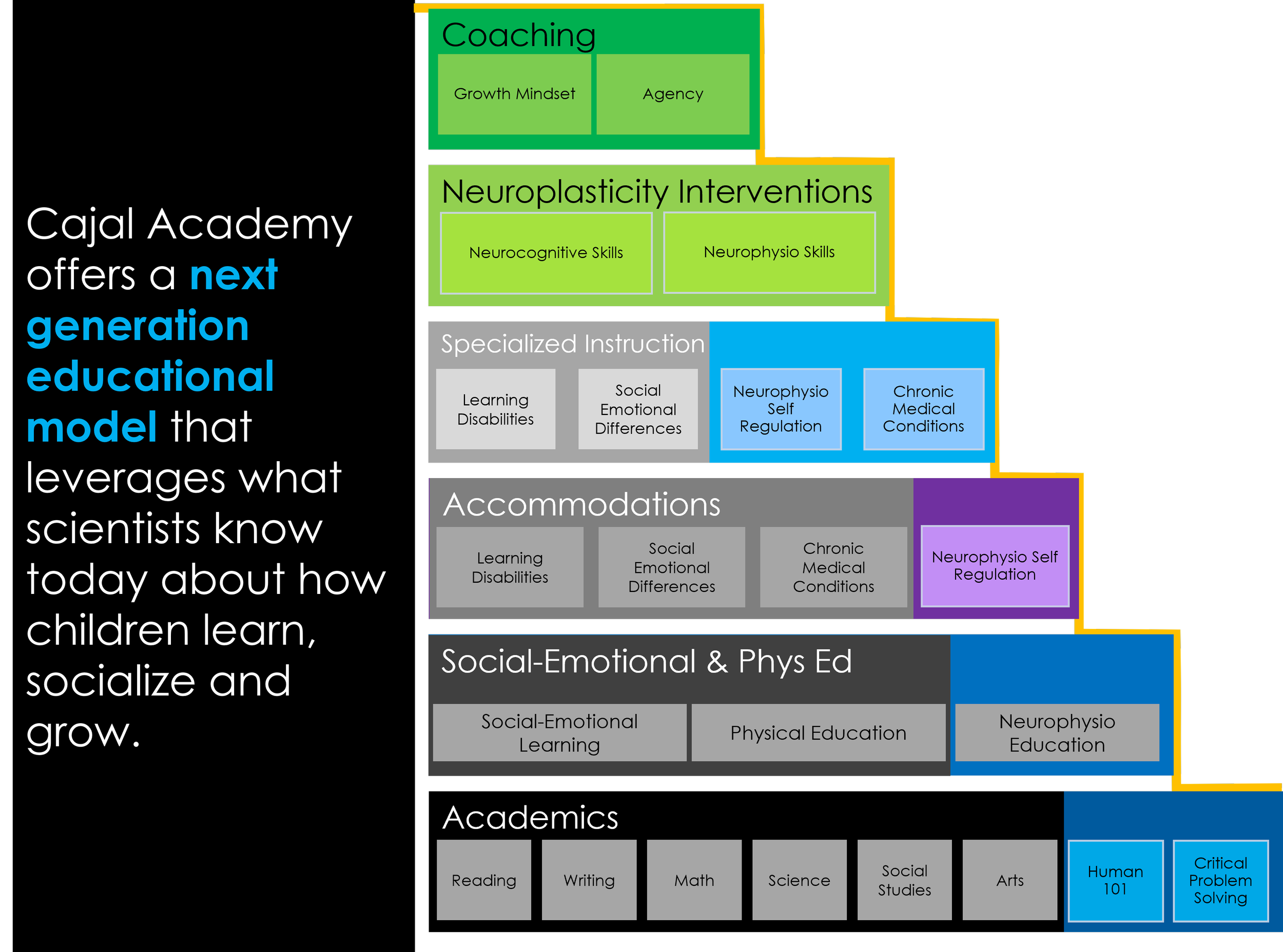 Neuroscience-Based Education — Cajal Academy