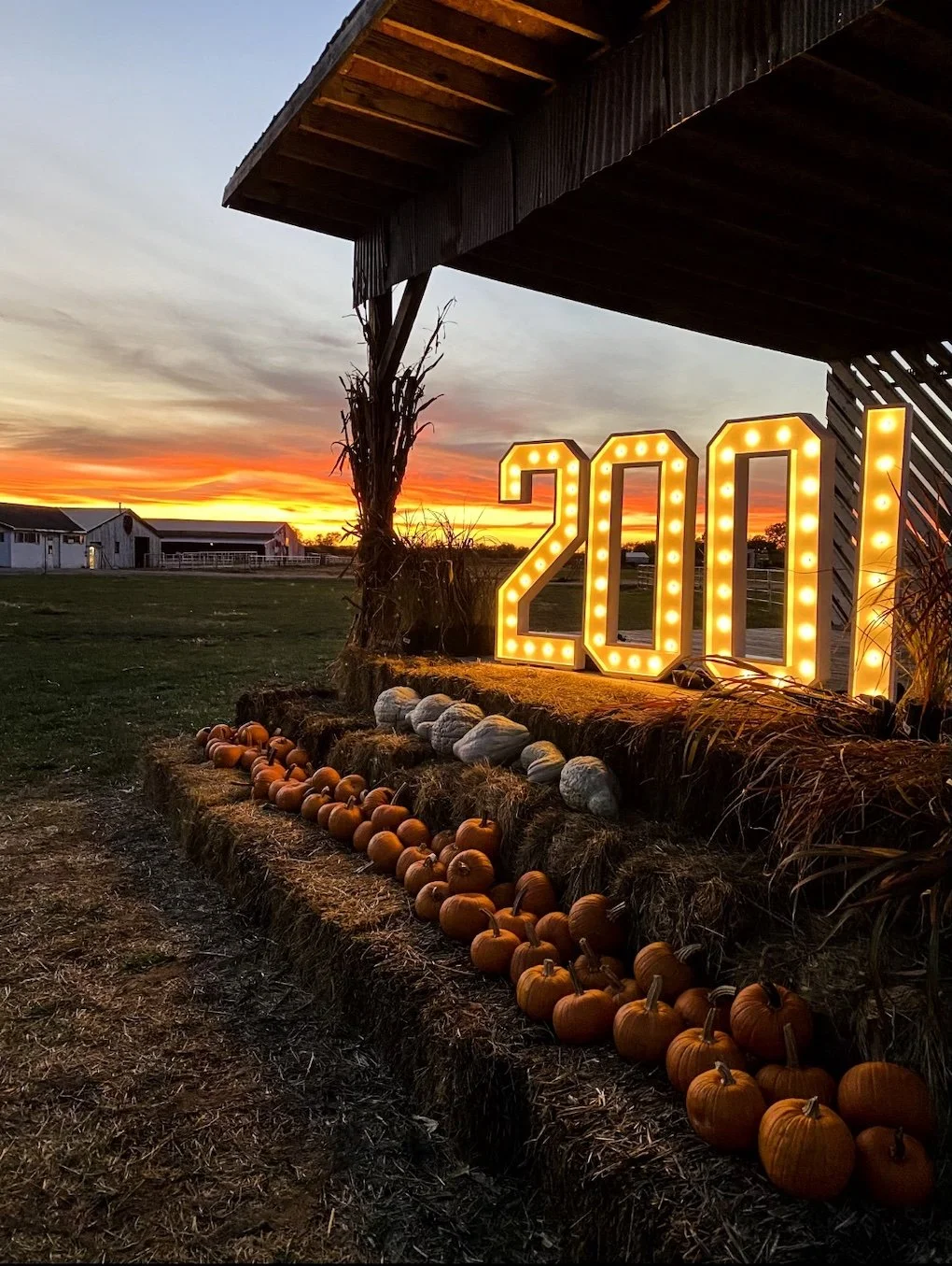 Moody's Marquee Letters