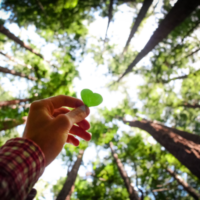 5 Ways to Protect Your Energy — Manifest with Melissa