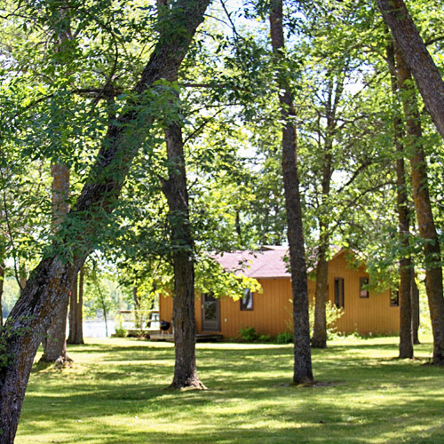 Cabins — Moose Lake Resort