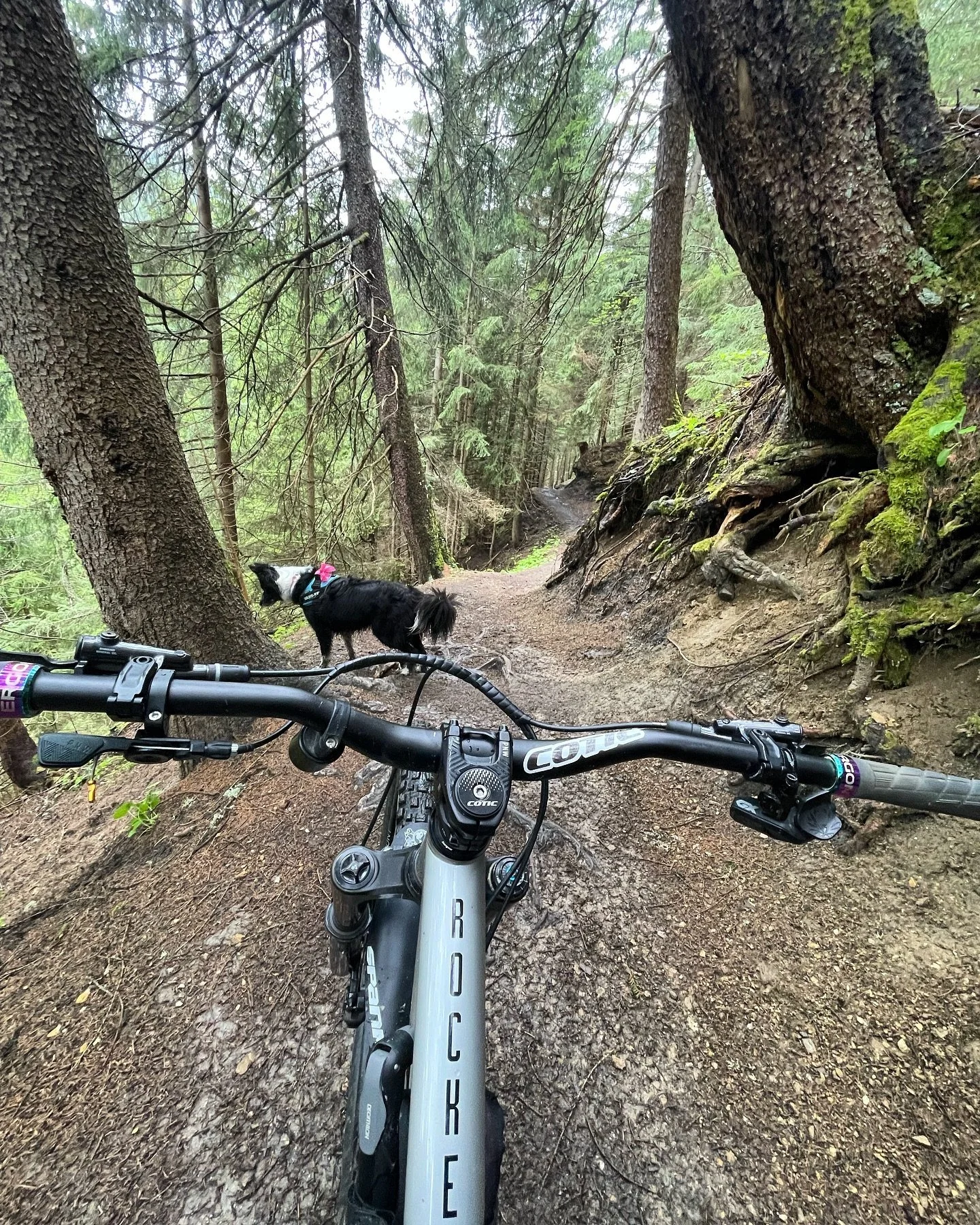 Chamonix Guided Mountain Bike Tours | Chamonix MTB