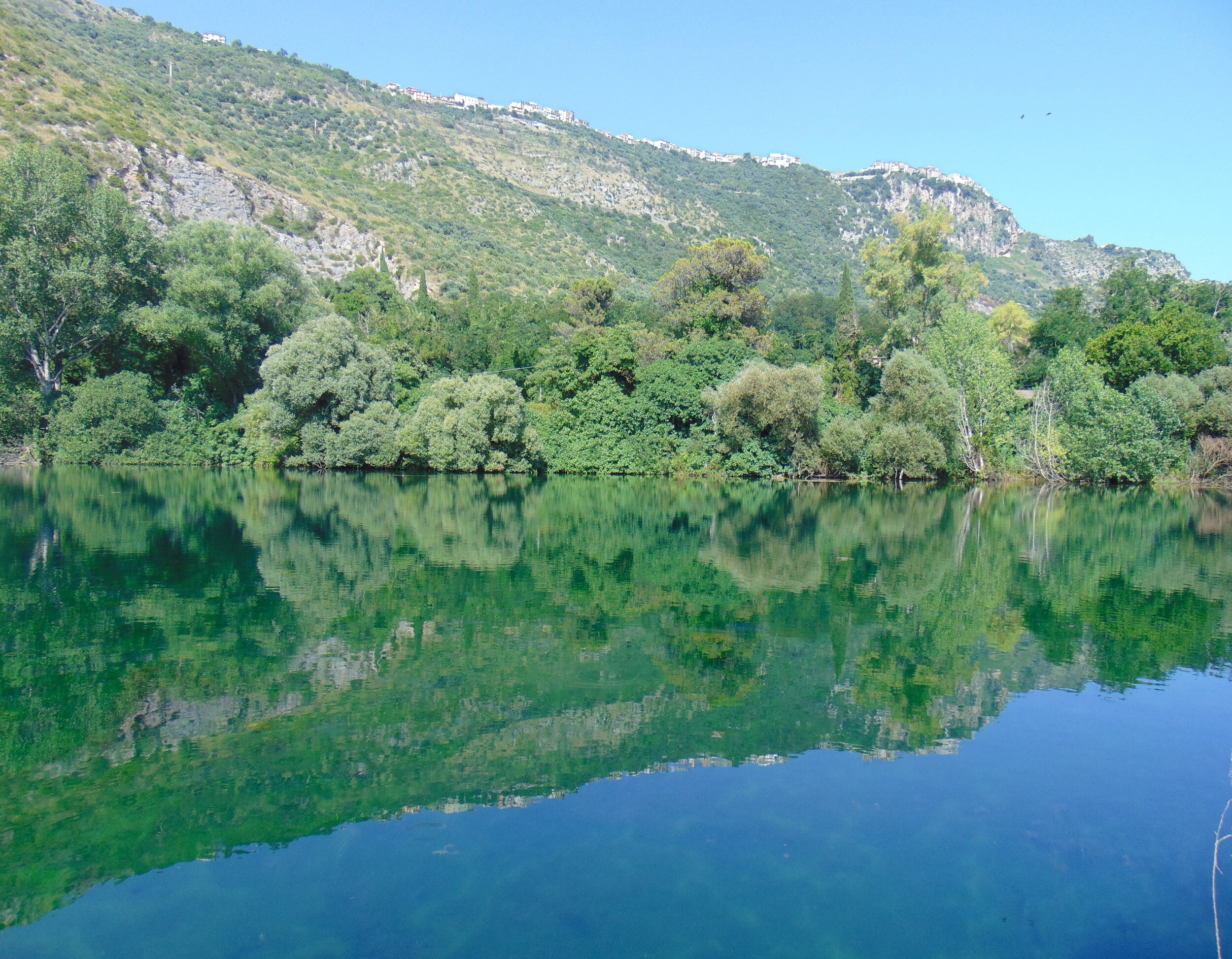 Reflection Zone — Minnie Weisz