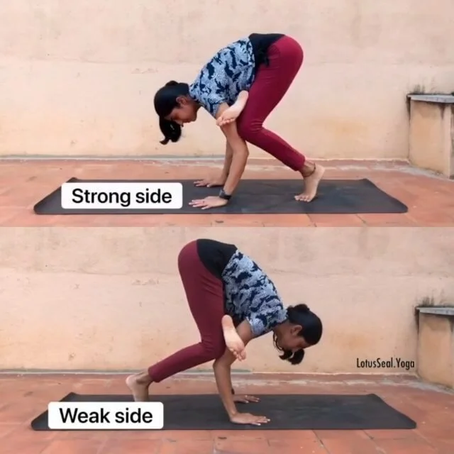 Yoga Alignment Guide