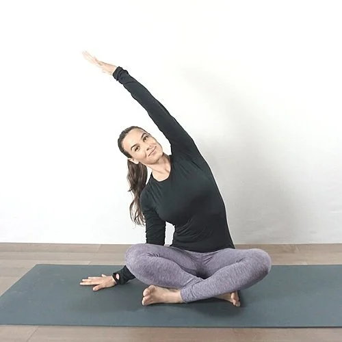 Yoga Student Training Programs — Yoga Alignment Guide