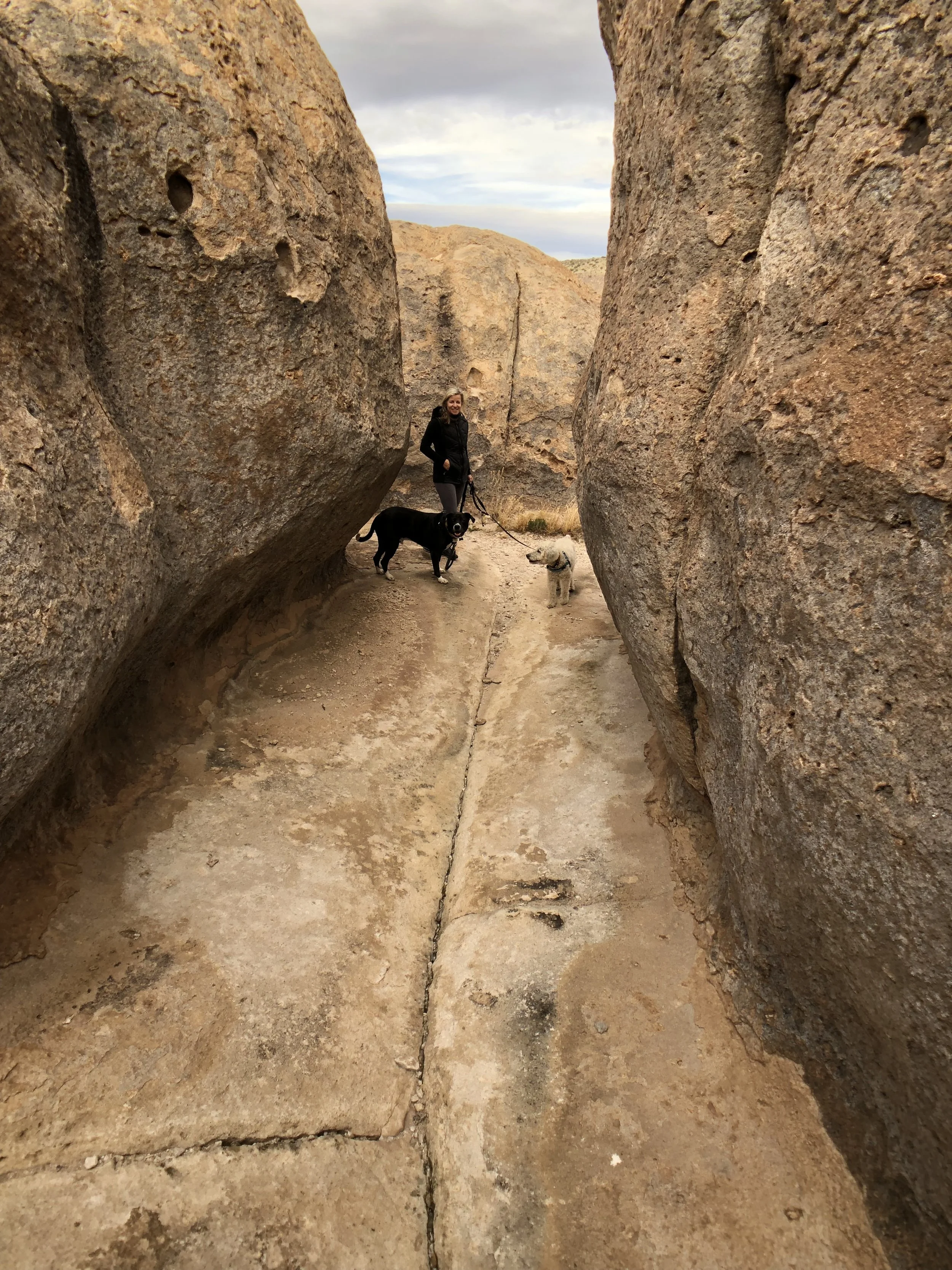 Day 26-27 City of Rocks State Park, Nowhere NM — RV Rolling