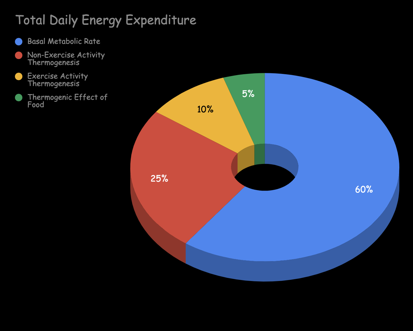 How to Speed Up Metabolism: Understanding Metabolism for Body ...