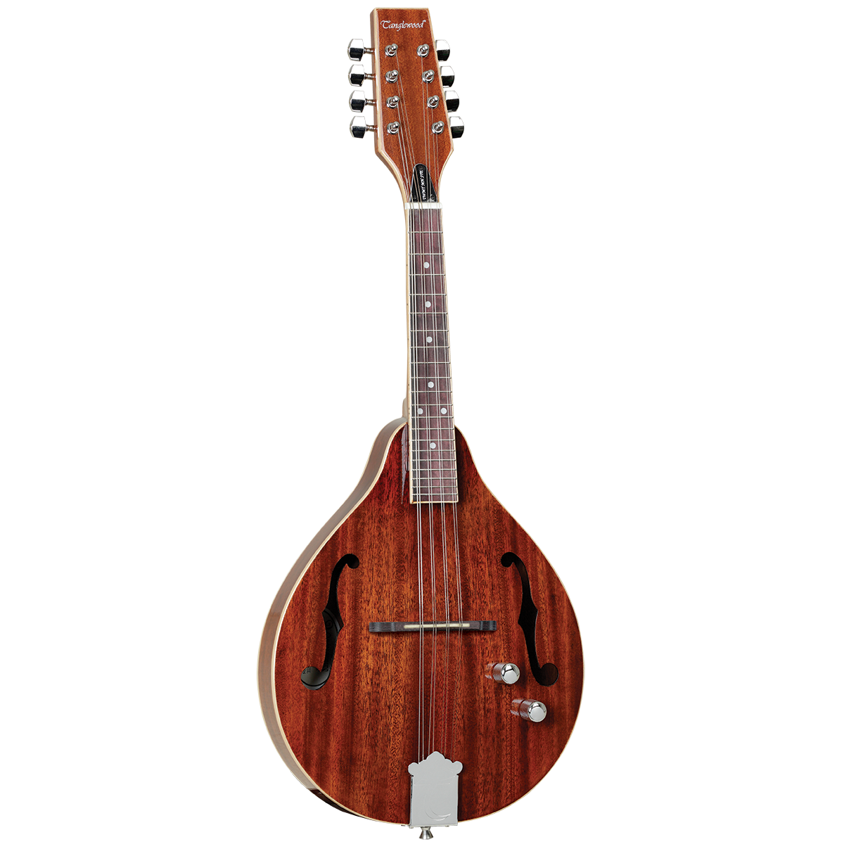 Guitars & Things — Banjos / Mandolins