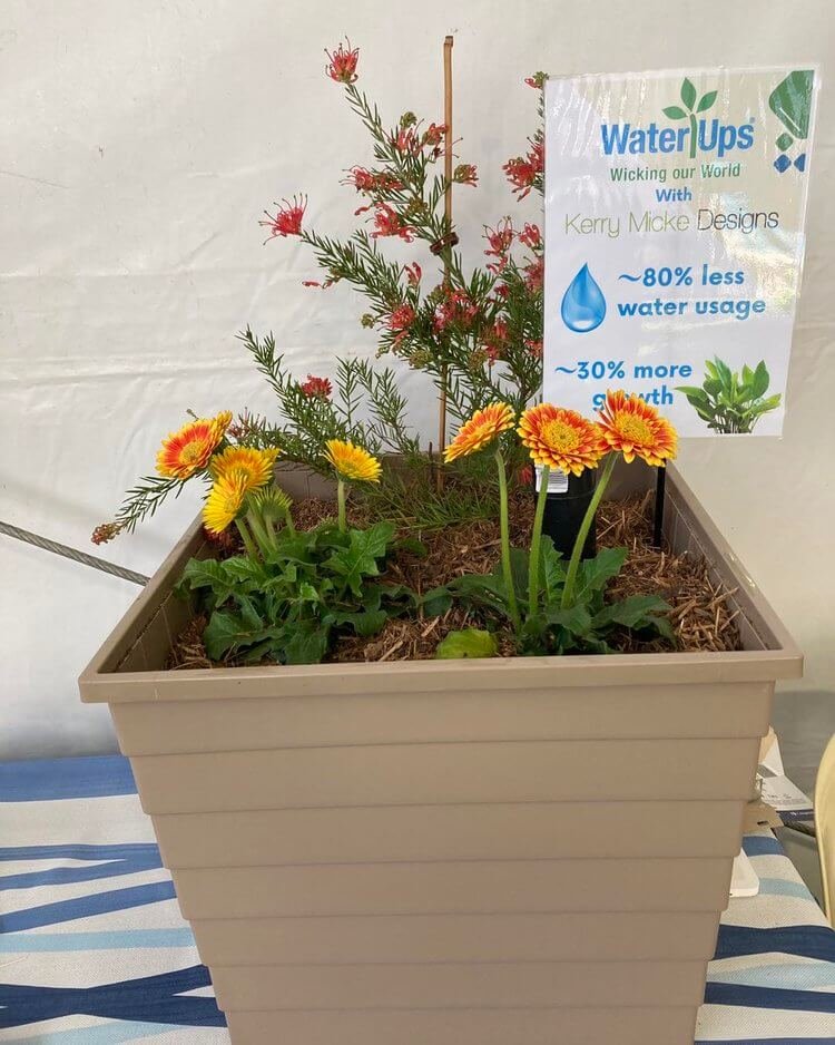 WaterUps® System Products — Kerry Micke Designs