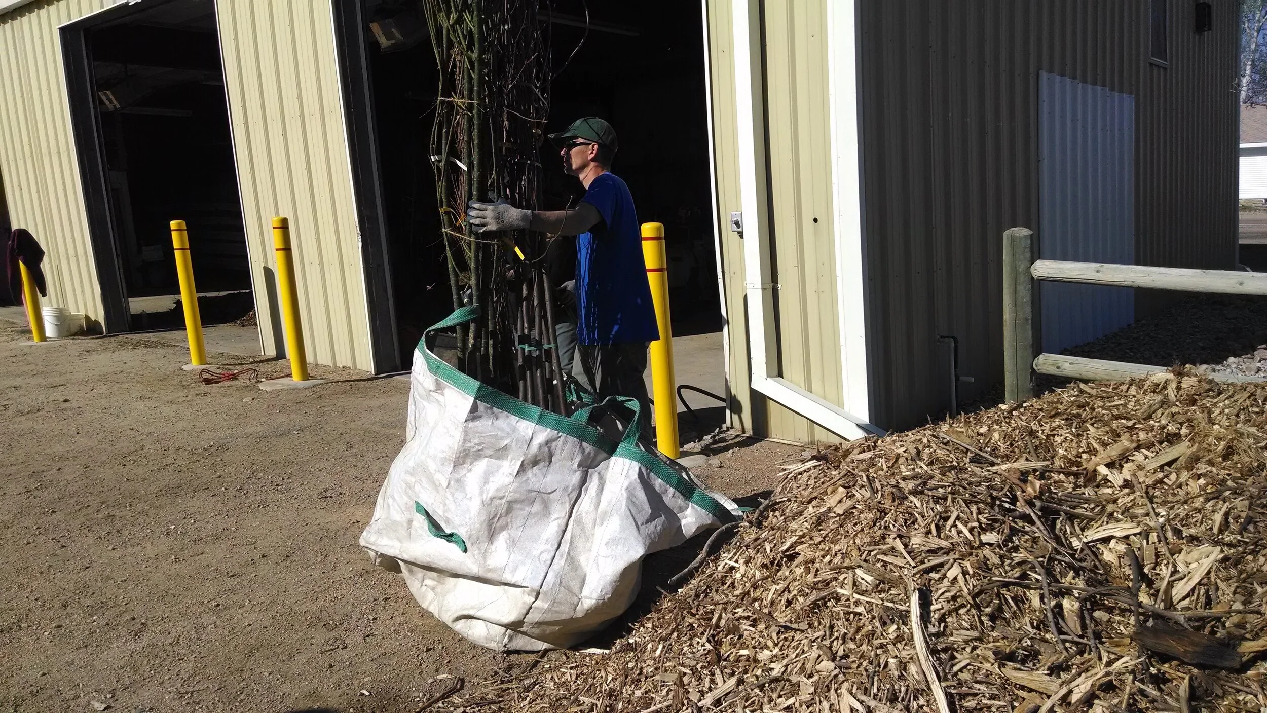 Trees Across Colorado — COLORADO TREE COALITION