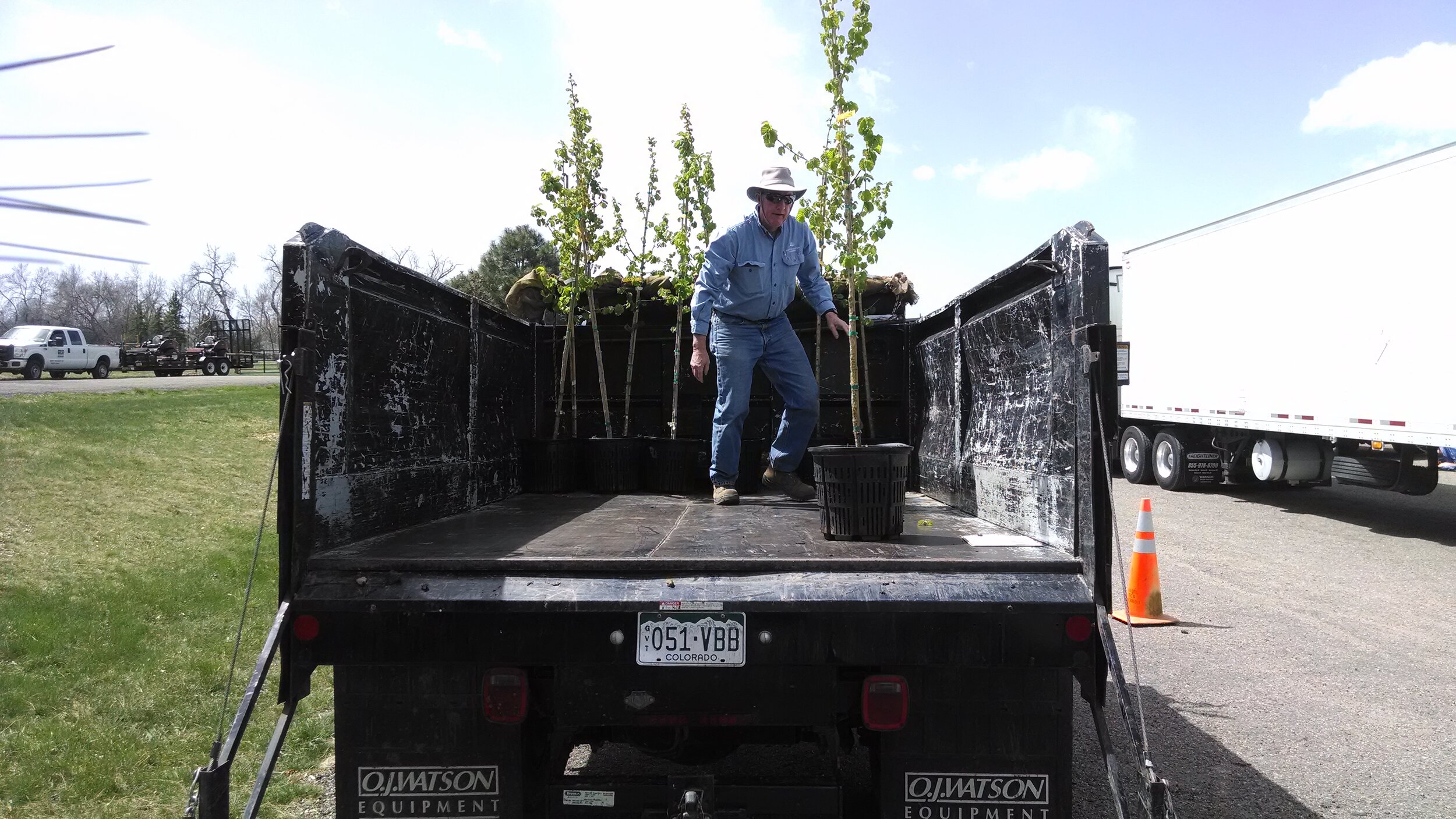 Trees Across Colorado — COLORADO TREE COALITION