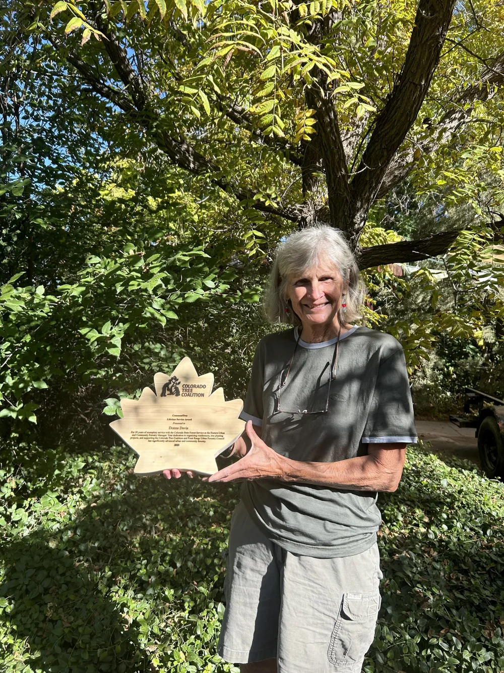 COLORADO TREE COALITION