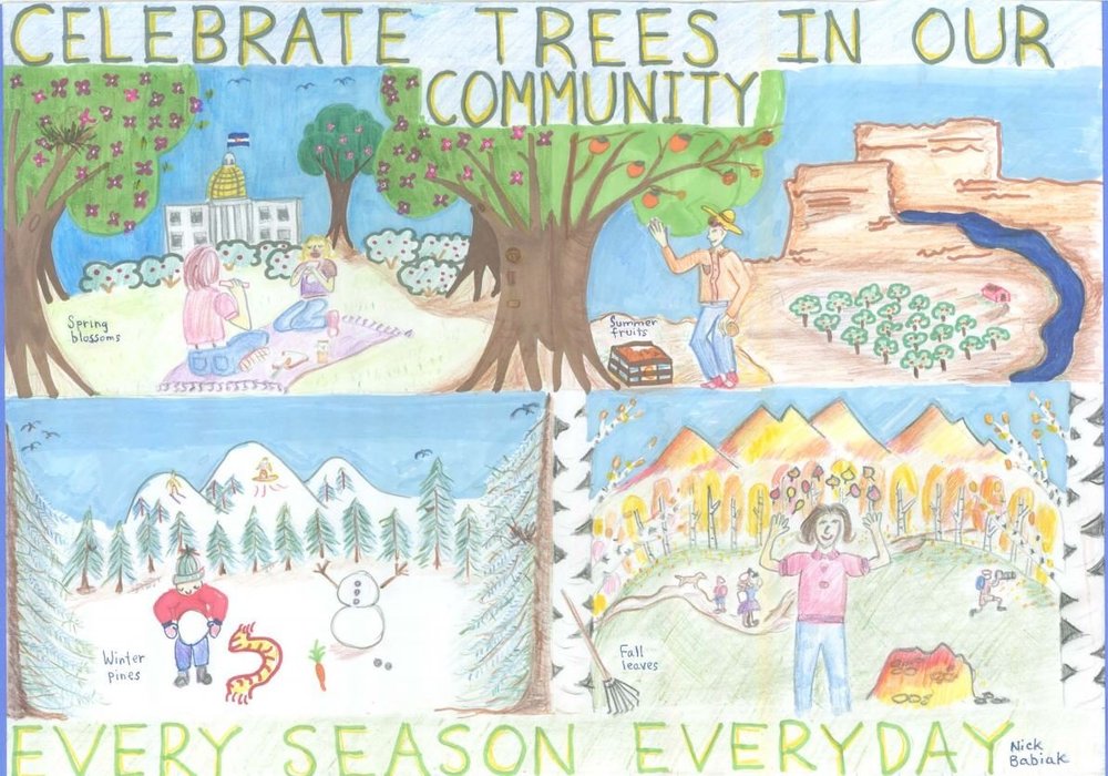 Gallery 3 — COLORADO TREE COALITION