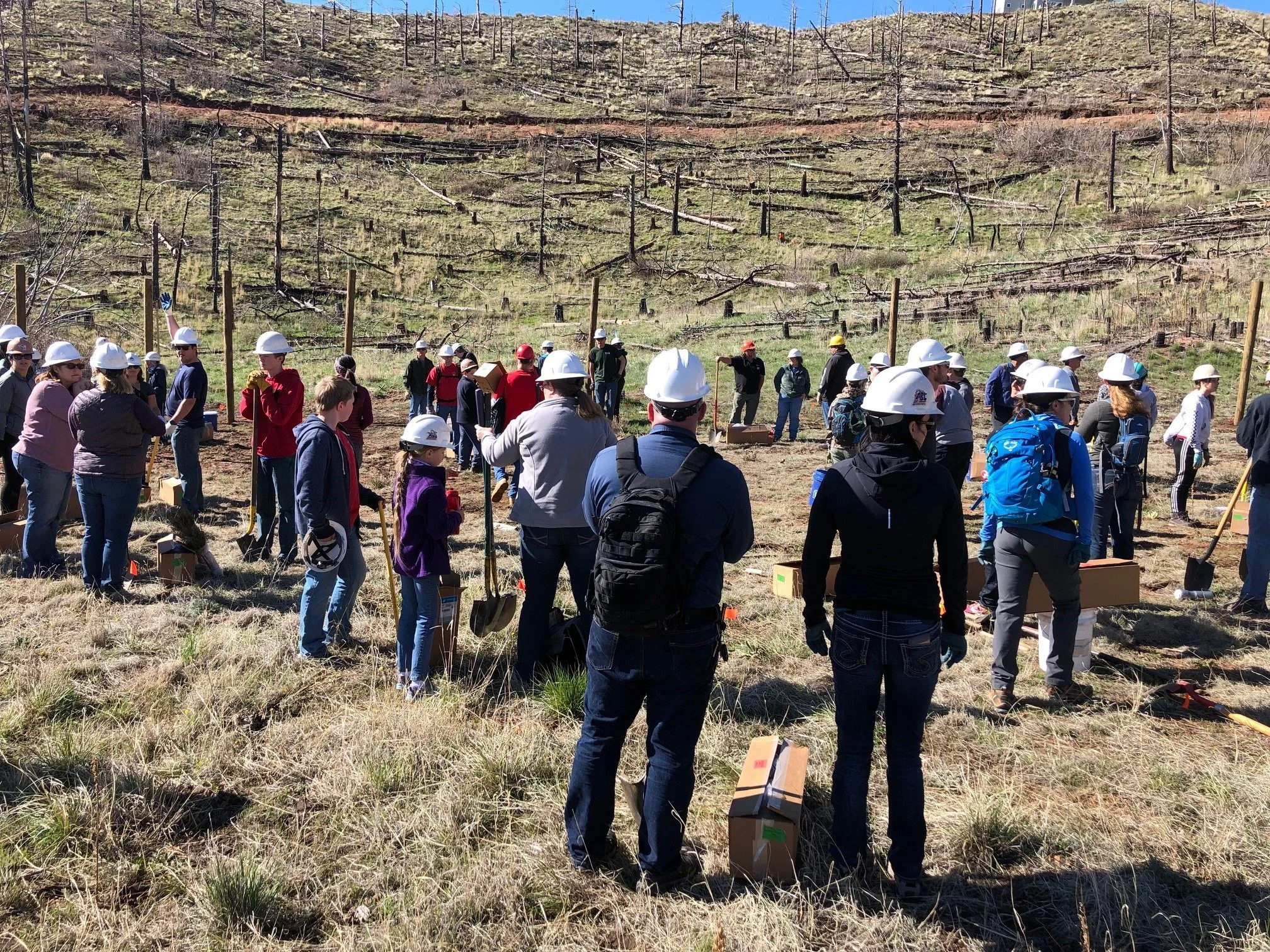 Grants — COLORADO TREE COALITION