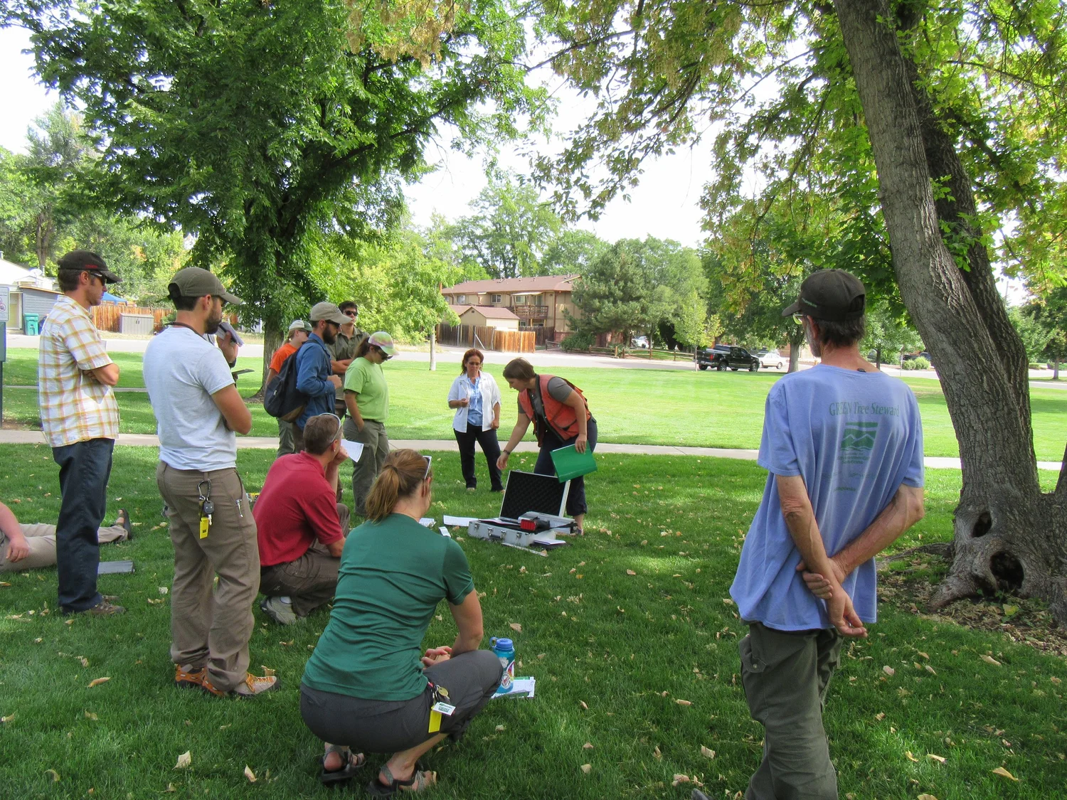 Tree Risk Management — COLORADO TREE COALITION