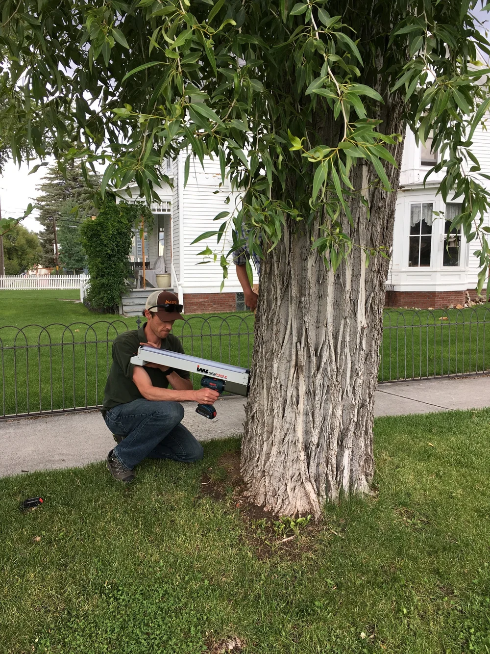 COLORADO TREE COALITION