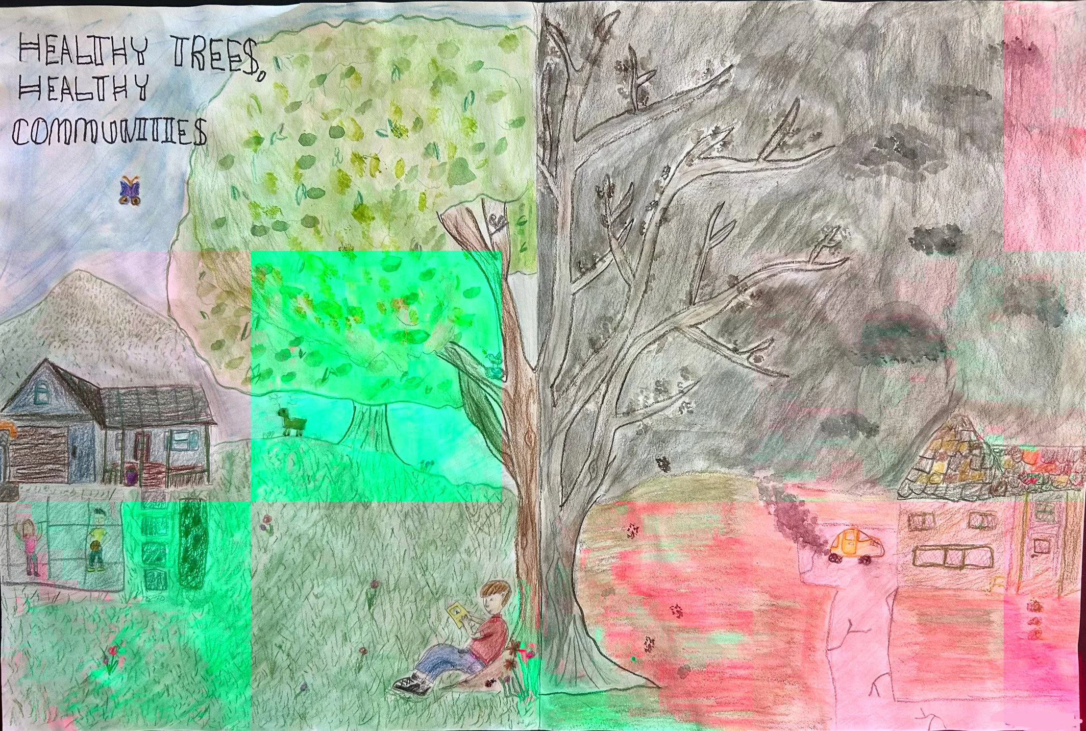 Arbor Day Poster Contest 2026 Gallery — COLORADO TREE COALITION