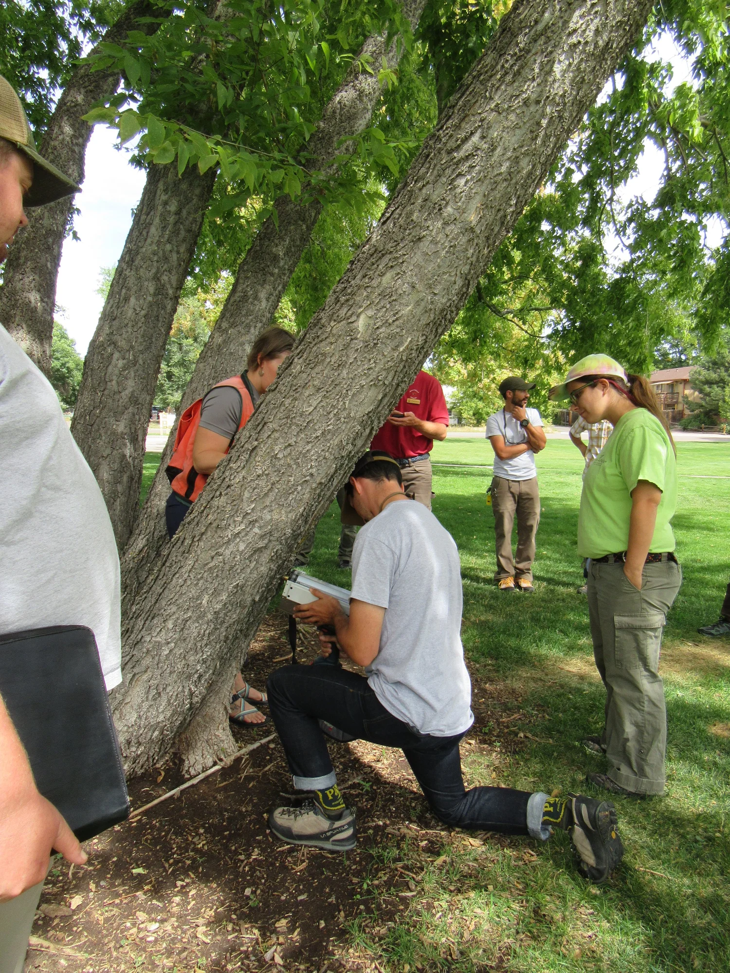Tree Risk Management — COLORADO TREE COALITION