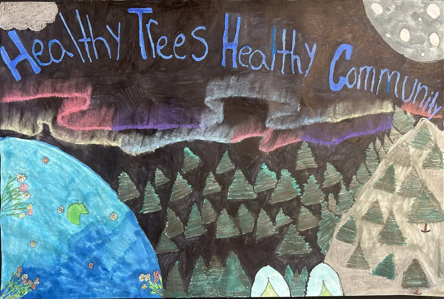 Arbor Day Poster Contest 2026 Gallery — COLORADO TREE COALITION