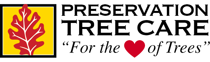 Arbor Day 5th Grade Poster Contest — COLORADO TREE COALITION